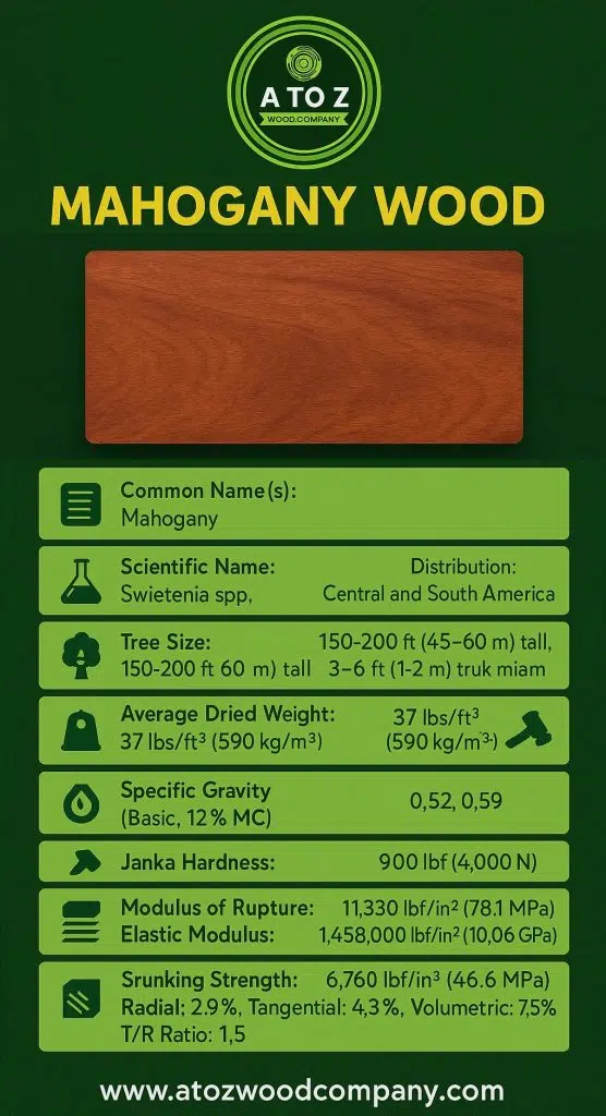 Buy Mahogany Wood Logs – Premium Quality for Sale