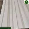 Poplar Wood Properties, Types, Uses, Pros & Cons