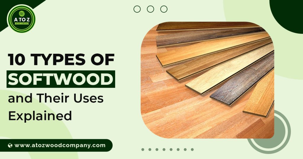 10 Types of Softwood and Their Uses Explained