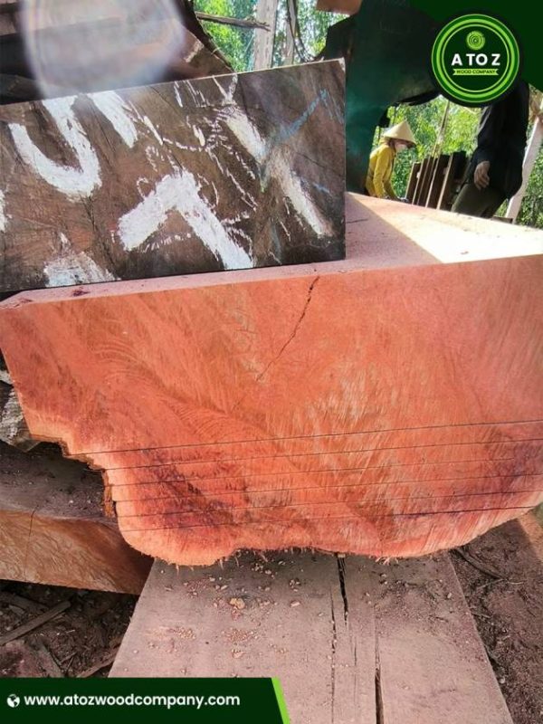Meranti Wood Properties, Characteristics & Popular Uses