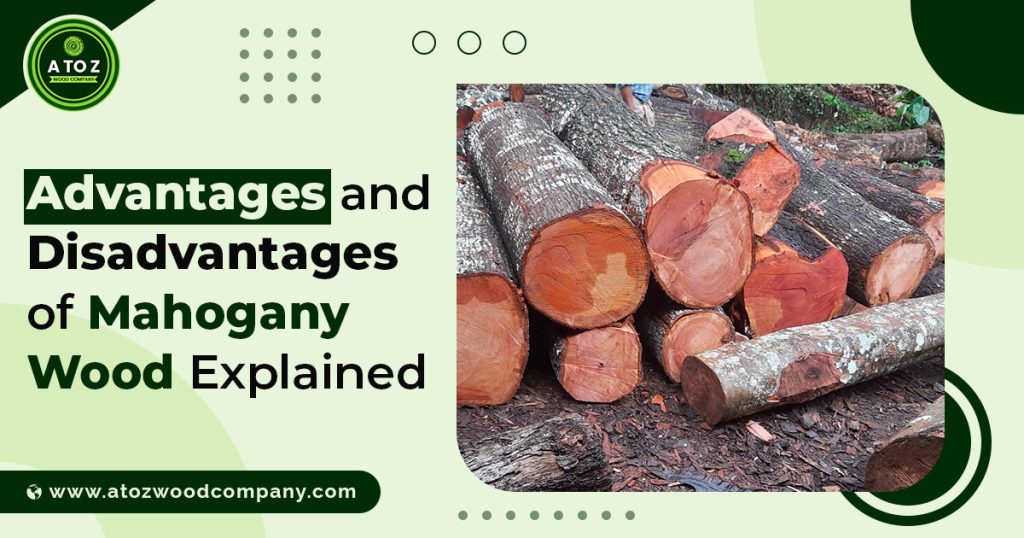Advantages and Disadvantages of Mahogany Wood Explained