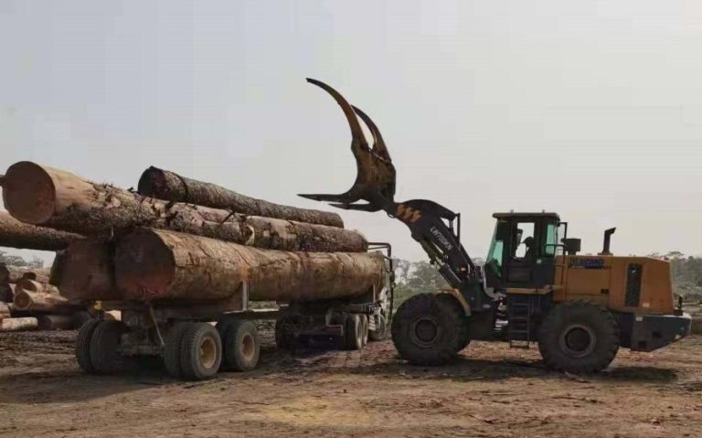 Wood Transportation Services | Global Timber Shipping