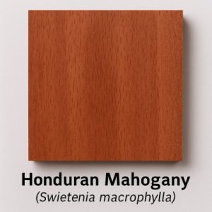 Mahogany Wood Properties, Types, and Uses in Detail