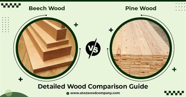 Beech vs Pine: Detailed Wood Comparison Guide