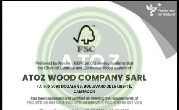 What is FSC Certified Wood? A Complete Beginner’s Guide