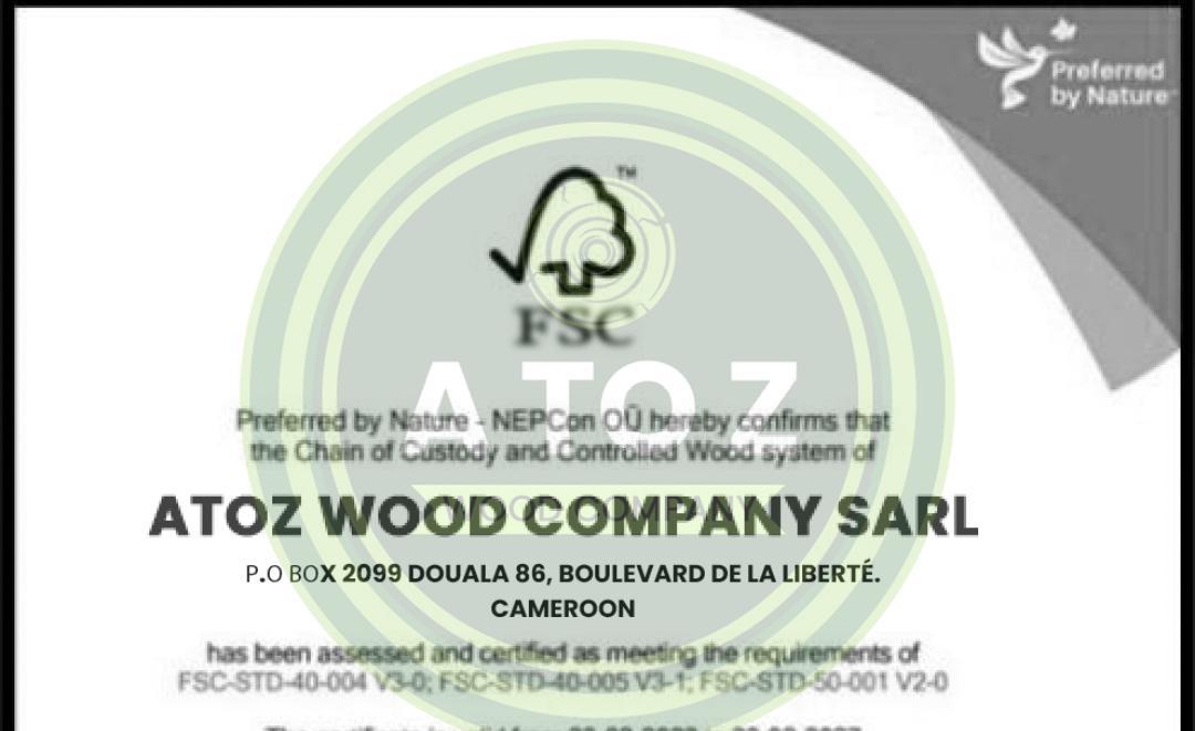 What is FSC Certified Wood? A Complete Beginner’s Guide