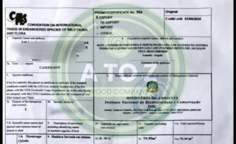 What is CITES and Why It Matters for Timber Exporters?