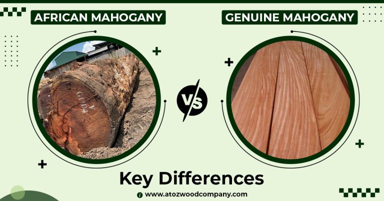 African Mahogany vs Genuine Mahogany – Key Differences